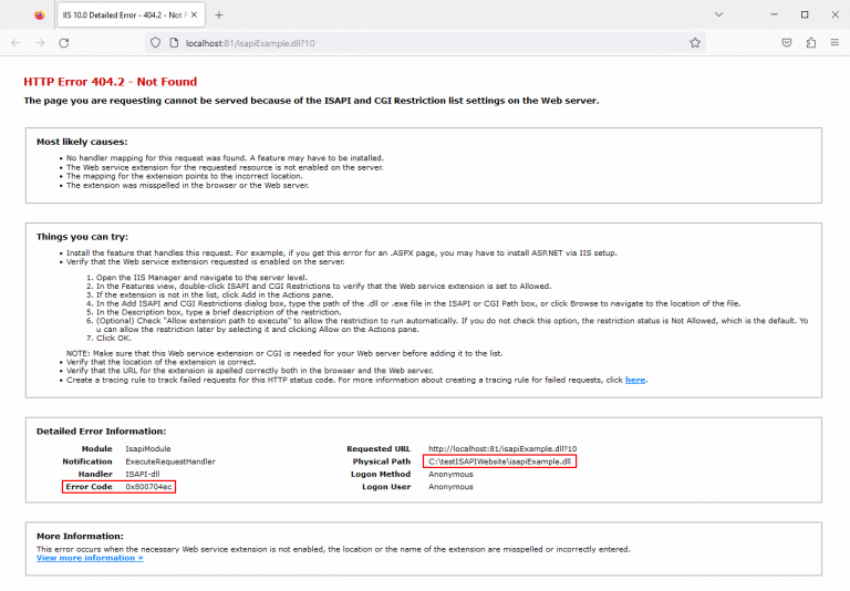 Common IIS Server Errors | Software Verify
